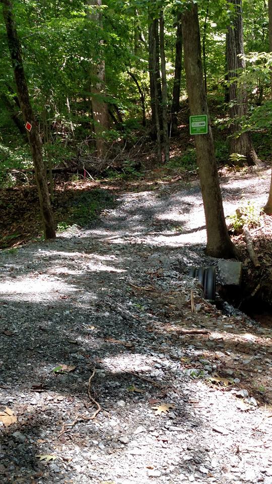 Past Projects – Friends of Kings Mountain State Park