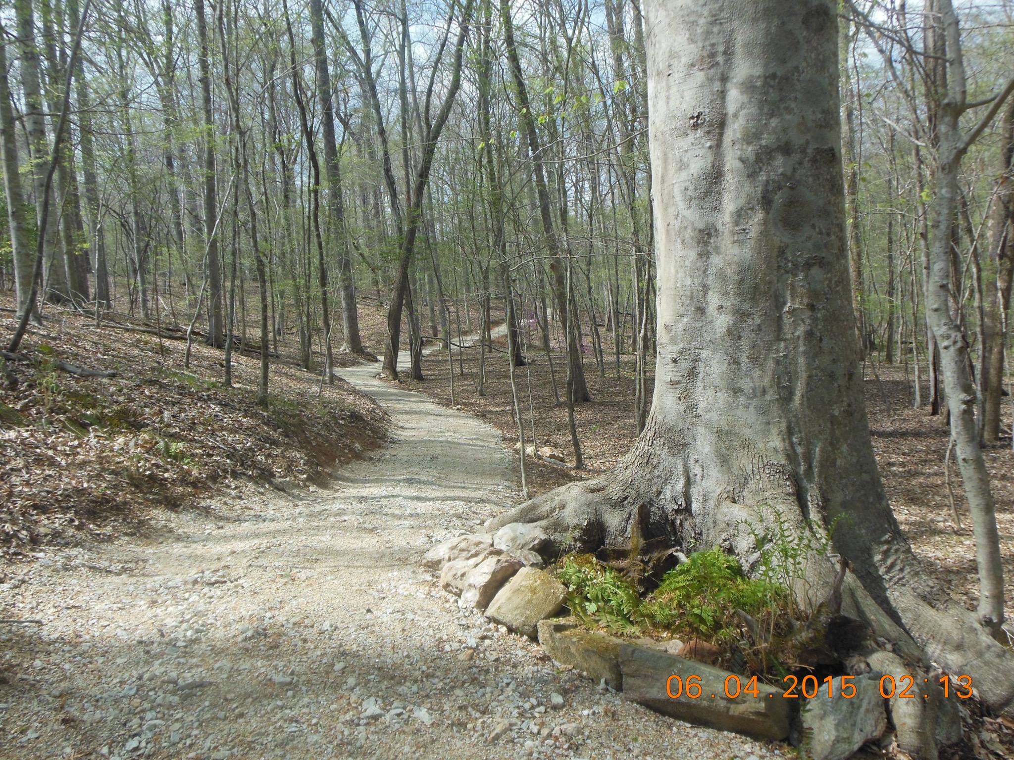 Hiking – Friends of Kings Mountain State Park